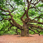 Character: When it Comes Down to it - Who Are You? - Fierce Kindness Blog