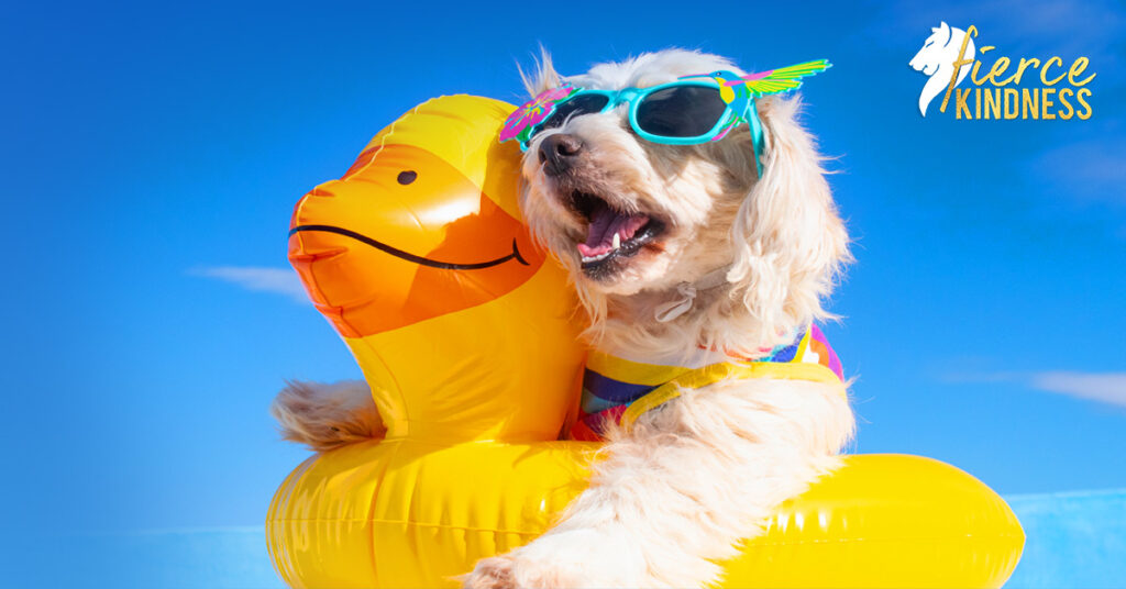 5 Powerful Questions to Have Your Kindest Summer Ever! (Infographic and ...