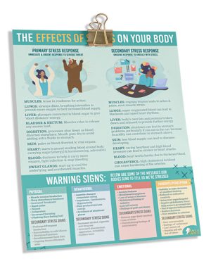 The Effects of Stress on Your Body Handout and .PDF printable | Plus ...